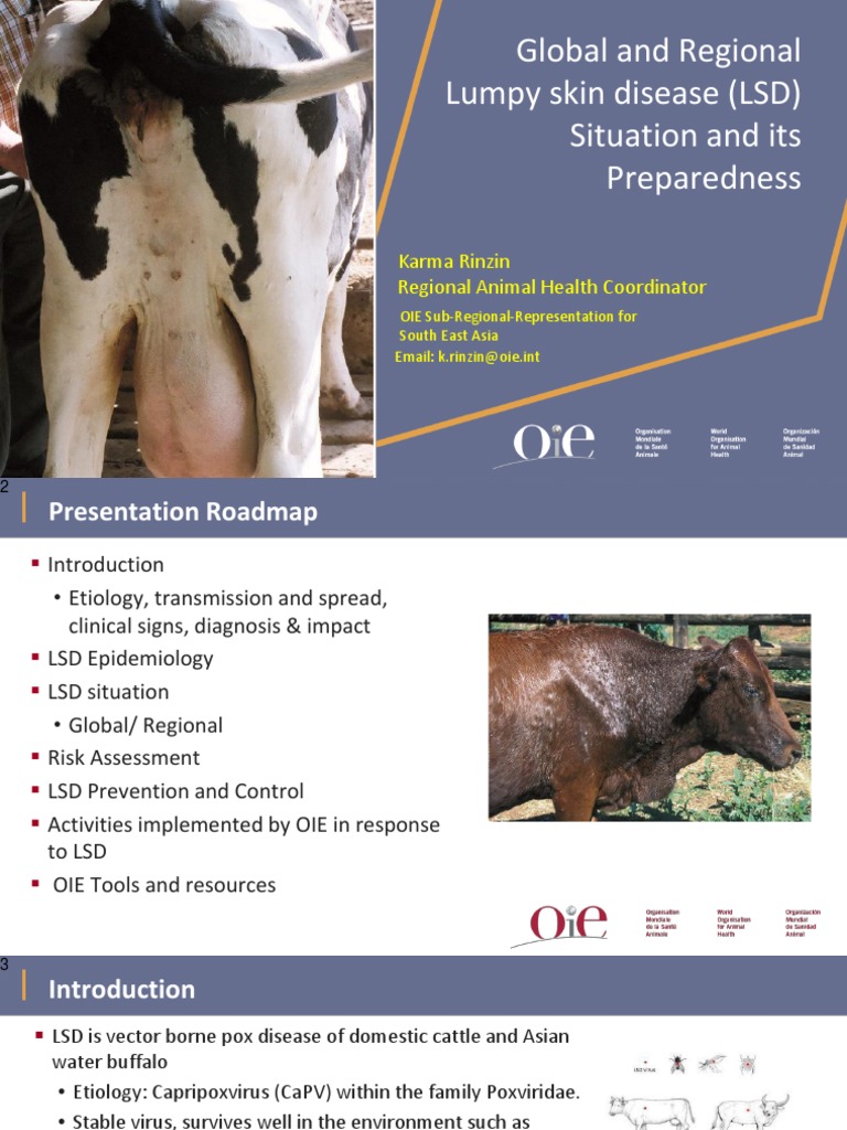 Karma Rinzin LSD Situation Prevention Control OIE SRRSEA | PDF ...