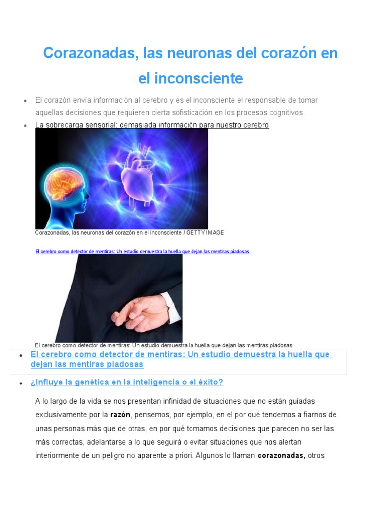 Corazonadas | PDF | Sistema nervioso | Neurona