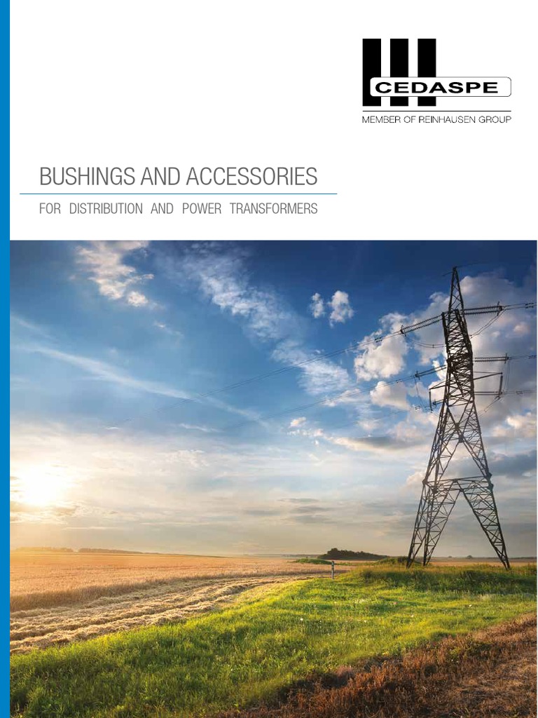CEDASPE® Overview Brochure Flyer en | PDF | Transformer | Valve