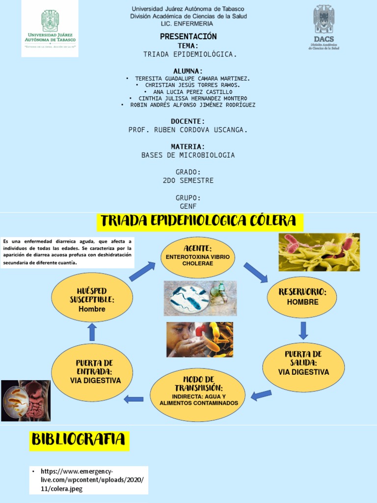 Triada Colera e | PDF