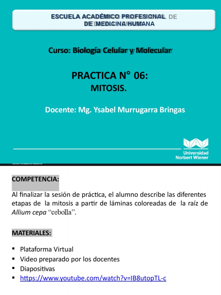 Practica N°6 - Mitosis. Extraccion Del Adn | PDF | Mitosis | Adn