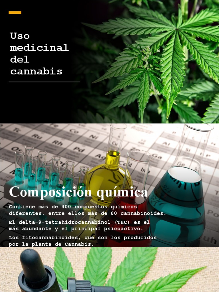 Uso Medicinal y Posología Del Cannabis Presentación | PDF | Cannabis (Droga) | Tetrahidrocannabinol