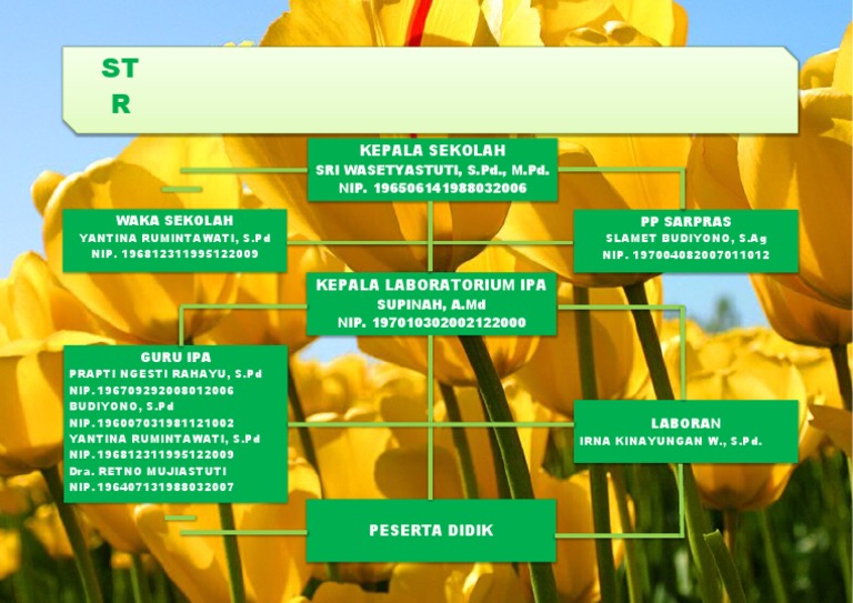 Struktur Organisasi Laboratorium Ipa | PDF