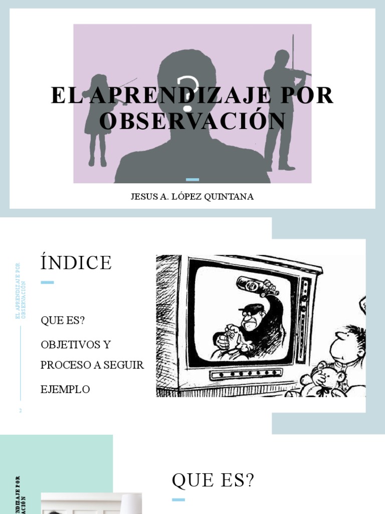 El Aprendizaje Por Observación Pdf