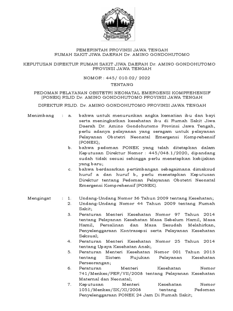 010.02. SK Kebijakan PONEK | PDF