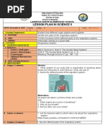 Detailed Lesson Plan Respiratory System | PDF | Respiratory Tract ...
