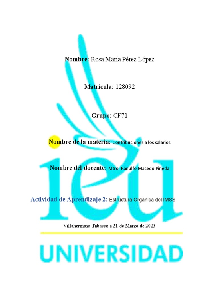 Act 2 Estructura Organica Del Imss | PDF