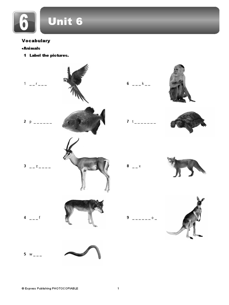 06 OnScreen 1 Unit 6 | PDF