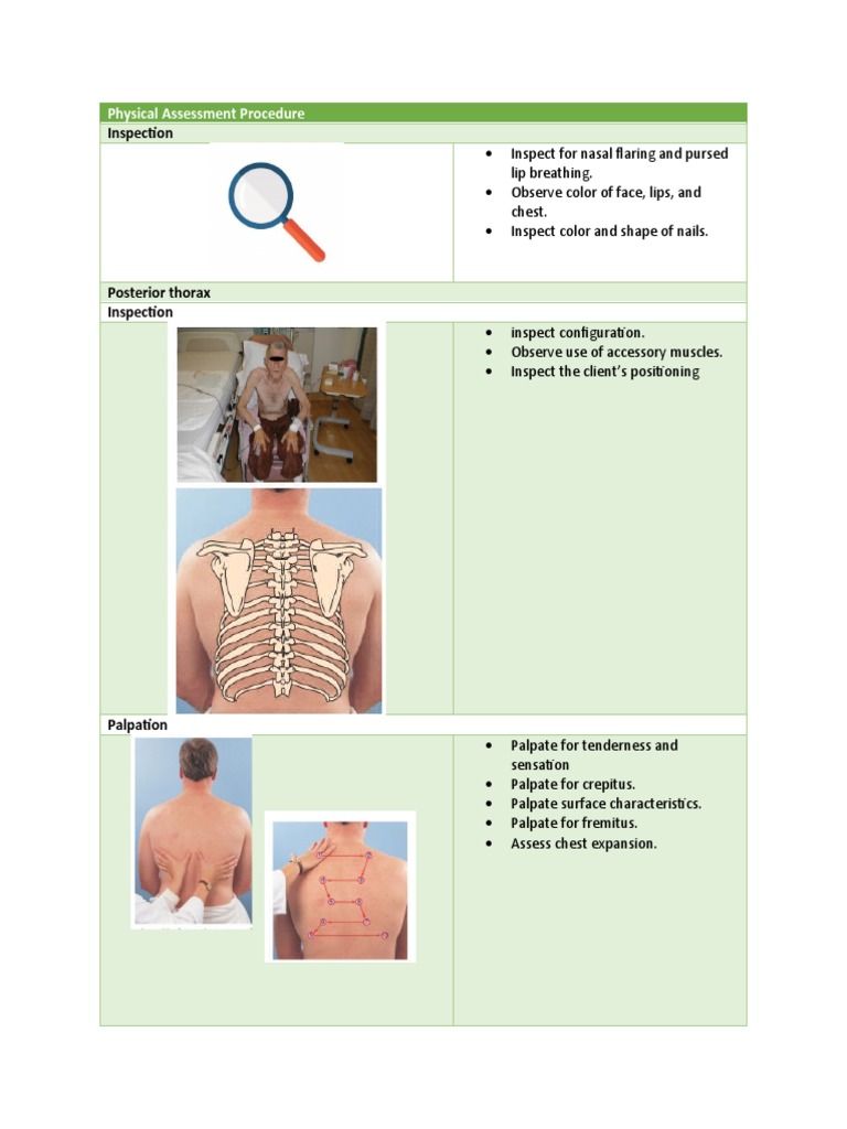 Inspection: Physical Assessment Procedure | PDF
