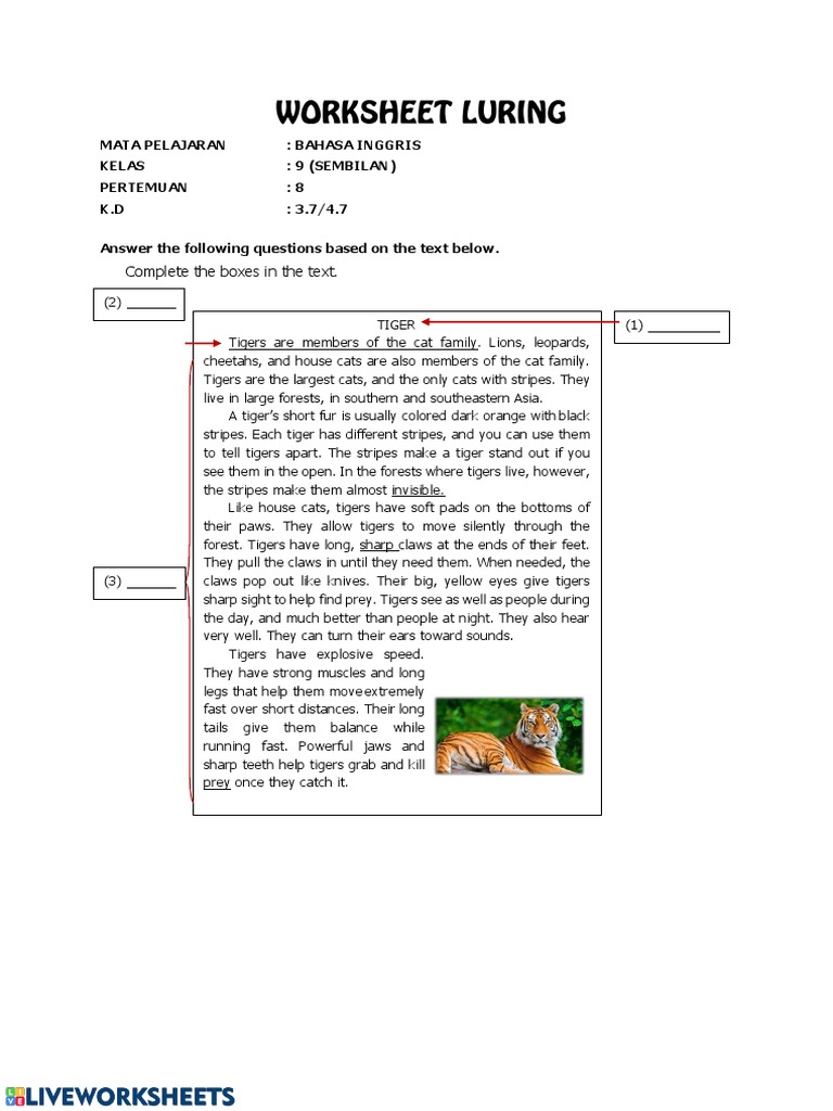 Report Text Tiger | Download Free PDF | Tiger | Cats