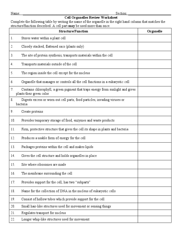 Cell Organelle Review Worksheet | PDF | Cell (Biology) | Organelle