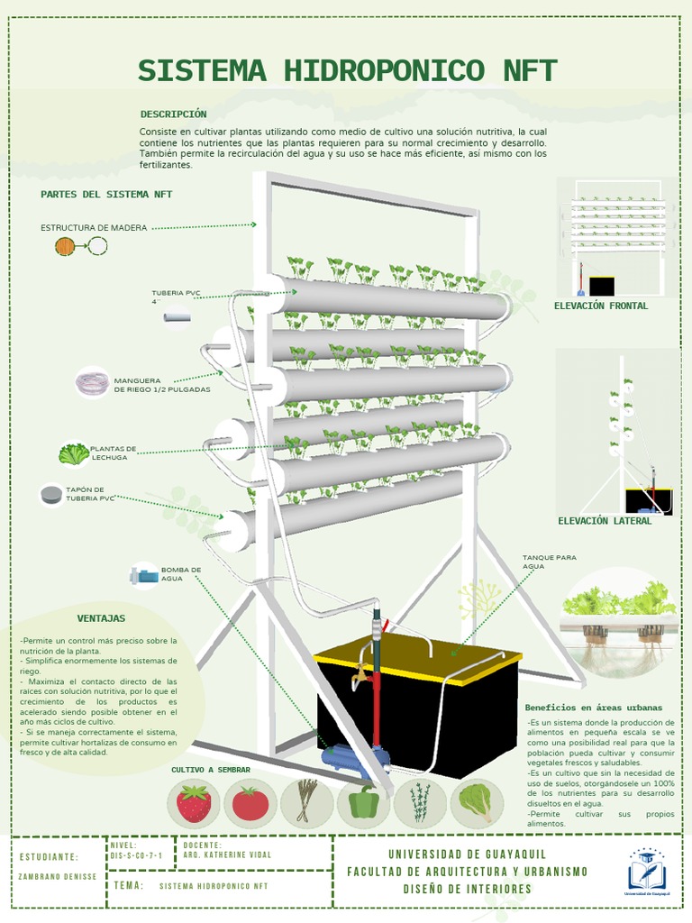 Sistema Hidroponico NFT | PDF | Hidroponia | Agricultura