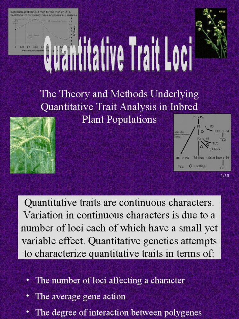 Qtl Mapping Pdf Quantitative Trait Locus Dominance Genetics