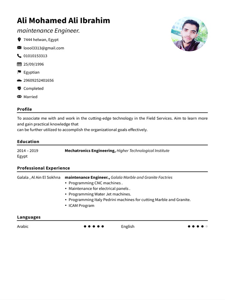 Ali CV | PDF