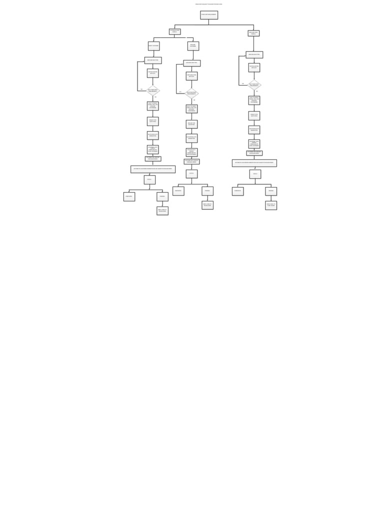 Spare Flow PDF | Download Free PDF | Service Industries | Business