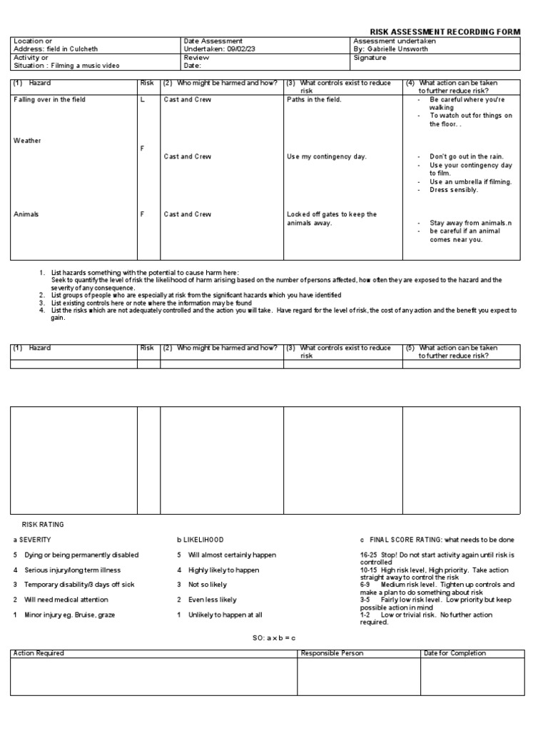 Risk Assessment Field | PDF | Risk | Risk Assessment