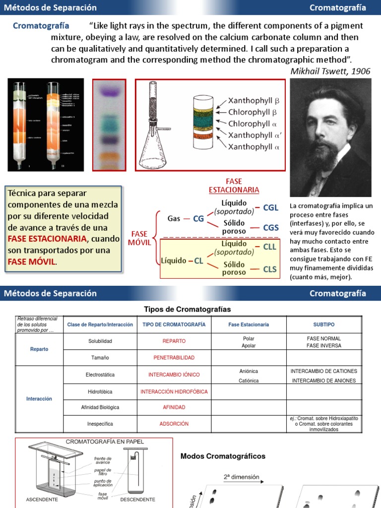 Cromatografía: Mikhail Tswett, 1906 | PDF | Cromatografía | Elución