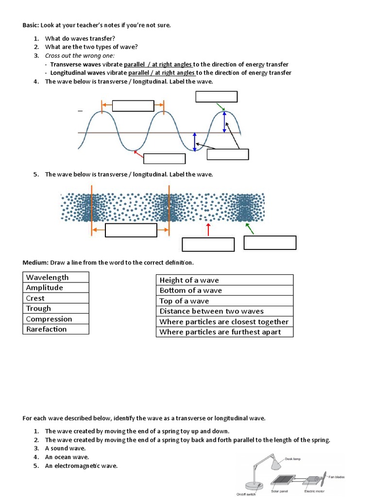 Transverse and Longitudinal Worksheet | PDF | Science & Mathematics