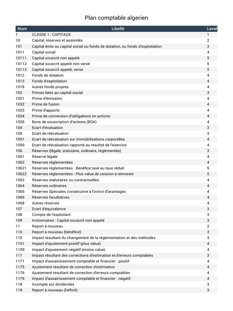 Plan Comptable Algérien 2025 | PDF | Facture | Immobilisations