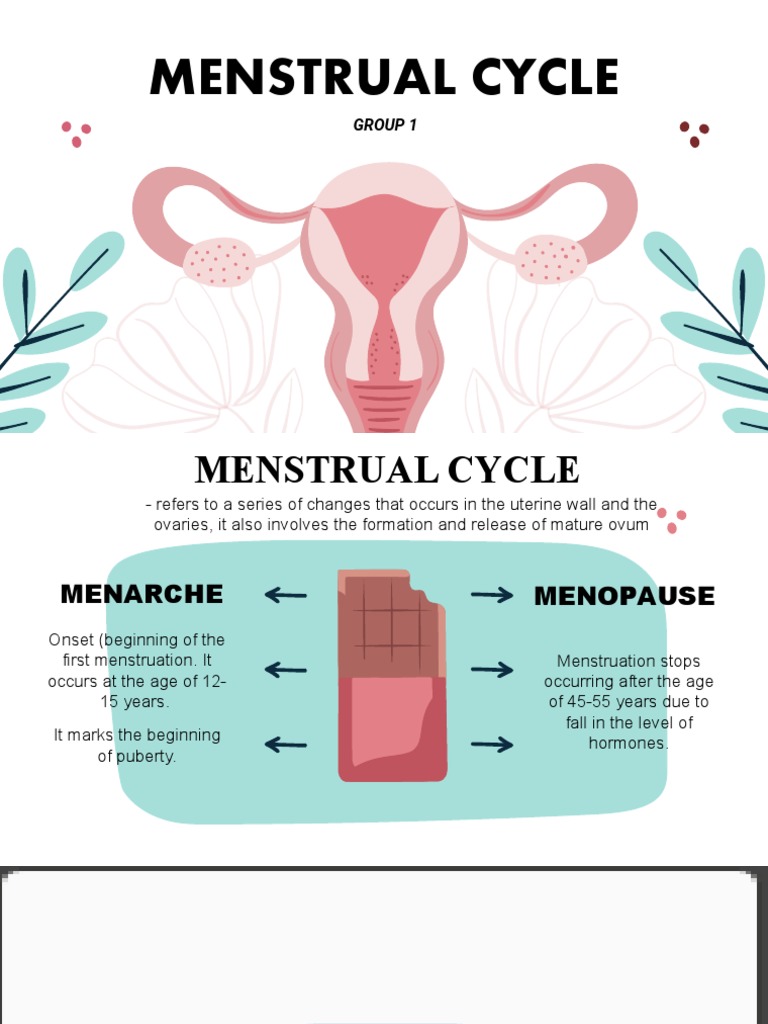 GROUP 1 Menstrual Cycle | Download Free PDF | Menstrual Cycle | Animal ...