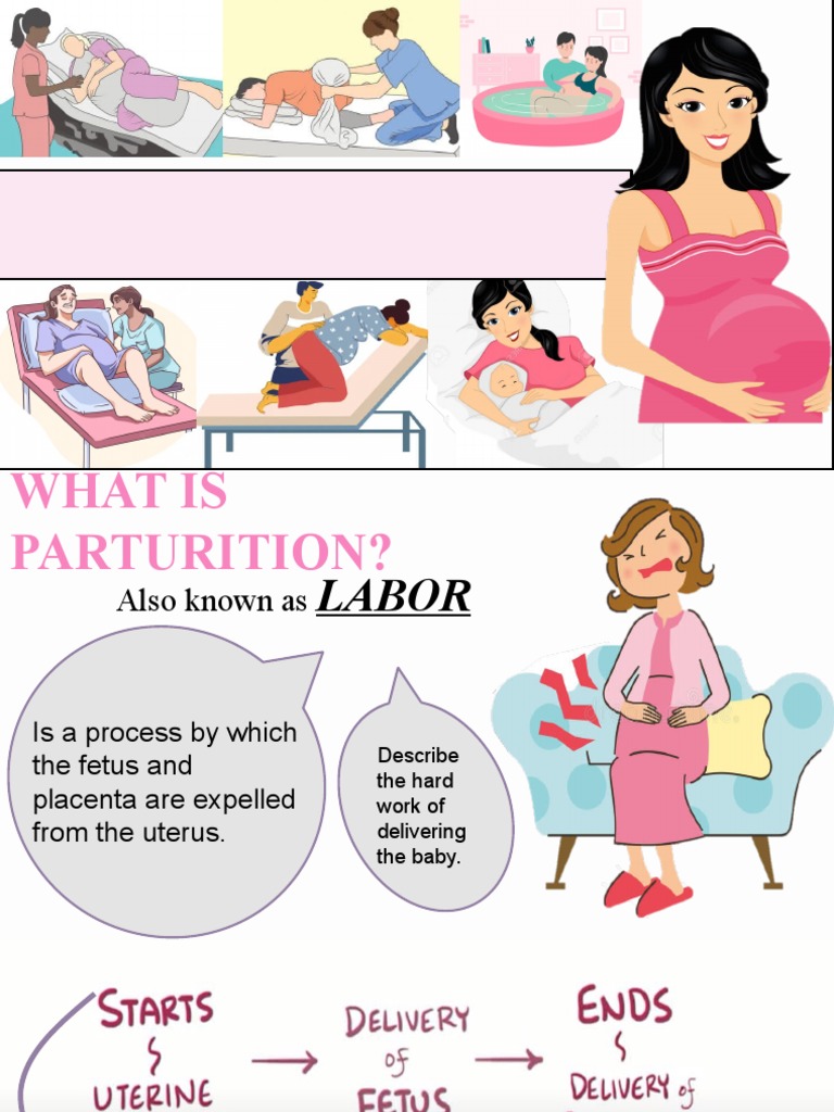 Group 4 Parturation-And-Lactation | PDF | Lactation | Breast