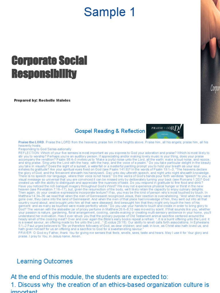 Module 9-CSR | PDF | Corporate Social Responsibility | Sustainability