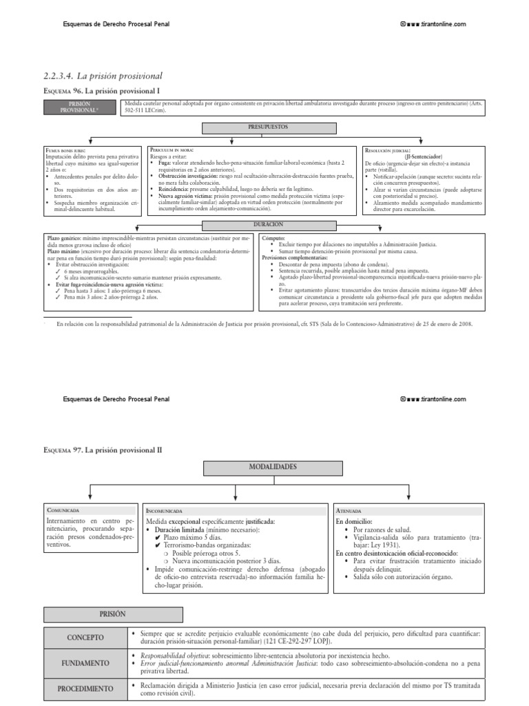 4 La Prision Provisional Esquema-2 | PDF | Prisión | Castigos