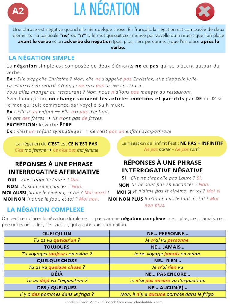 Comprendre la Négation en FLE | PDF