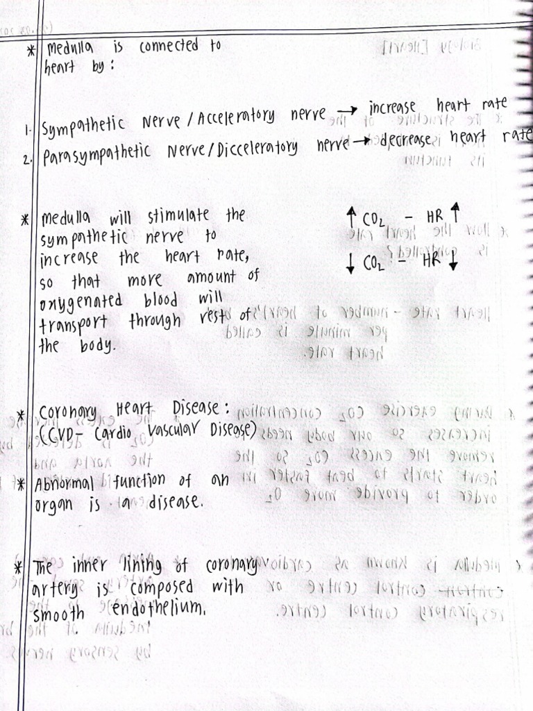 Biology IGCSE note - Blood & Circulation | PDF