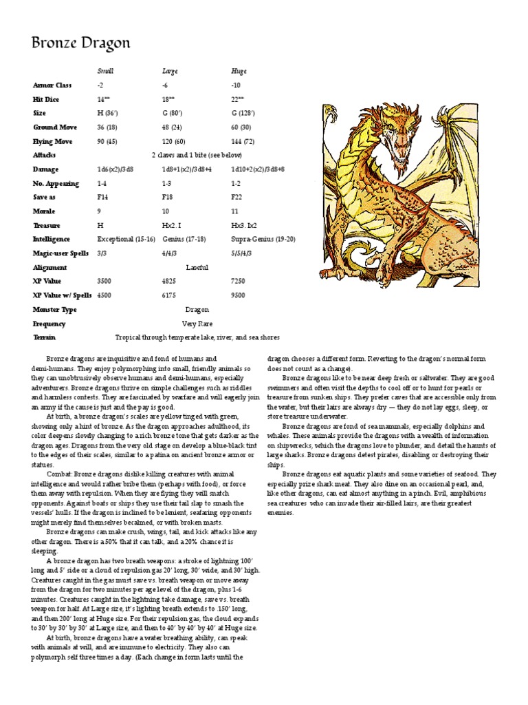 Bronze Dragon | PDF | Dragon