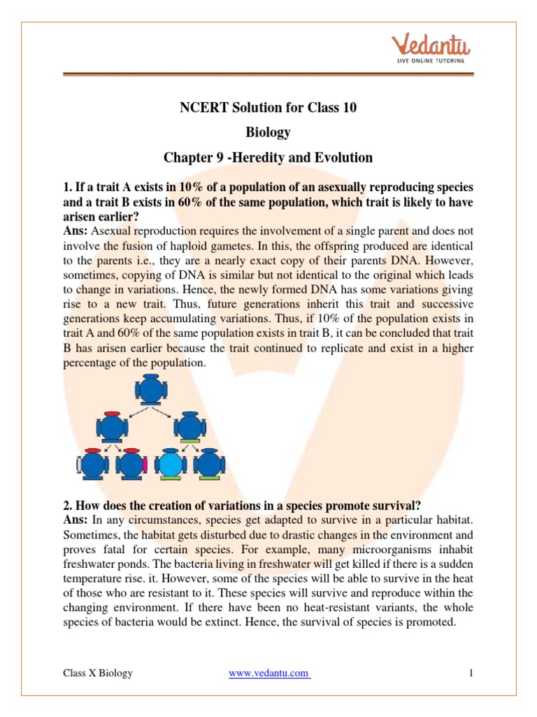 CBSE Class 10 Science Chapter 9 NCERT Solutions 2022 - Free PDF | PDF ...