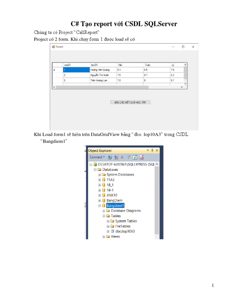 LONG C# T o Report V I SQLserver | PDF