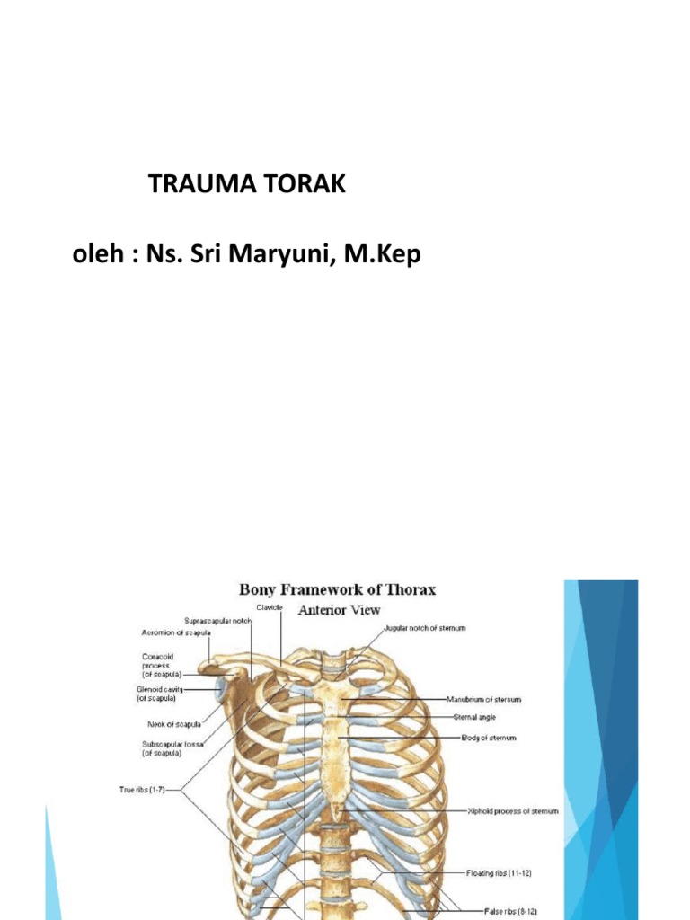 Trauma Dada | PDF