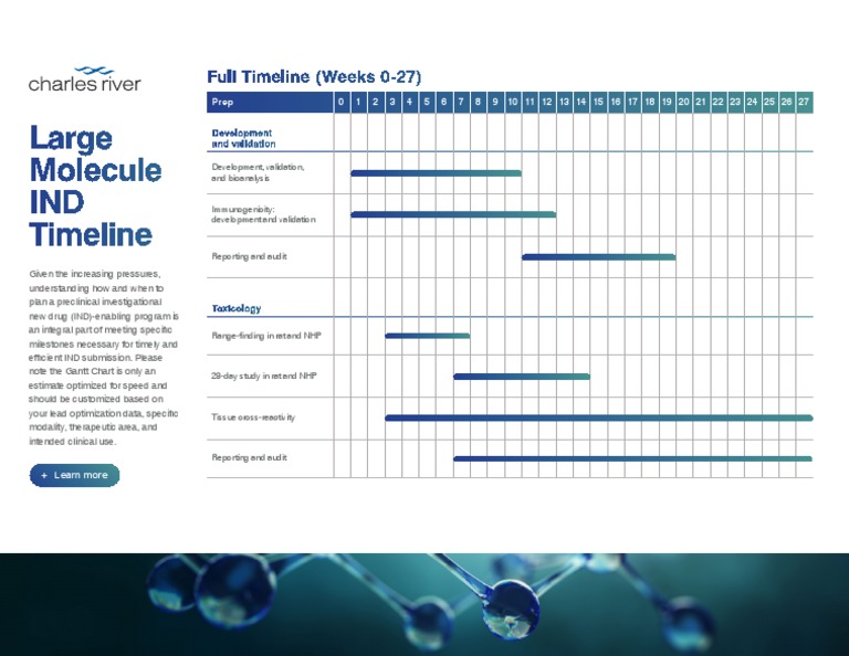 IND-Enabling Studies Timeline Overview | PDF | Technology & Engineering