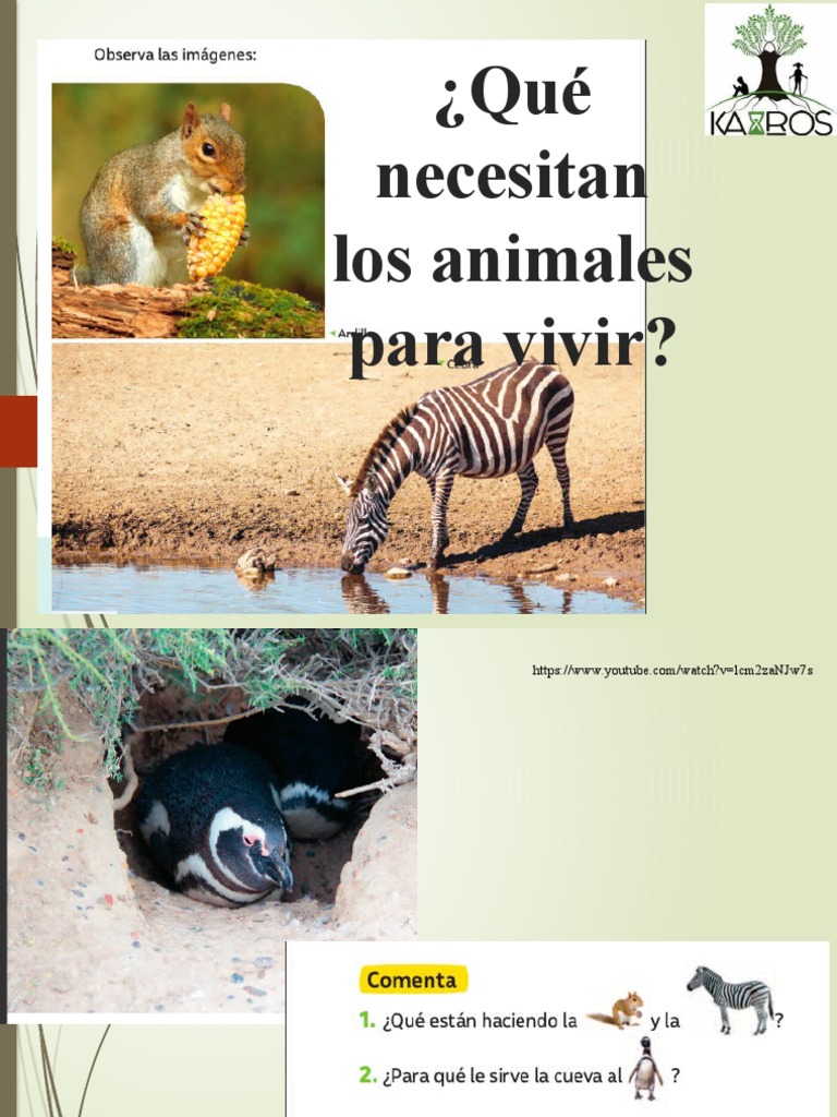 ¿Qué Necesitan Los Animales para Vivir? | PDF