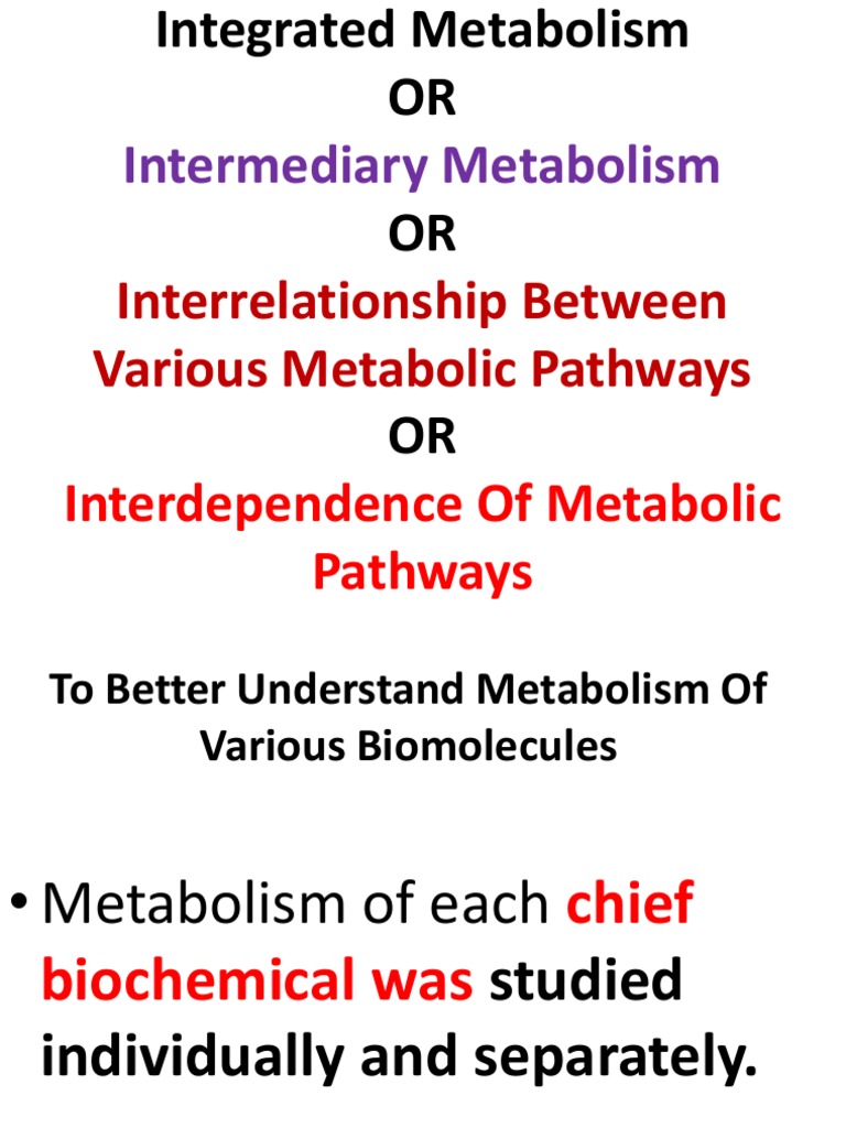 Biochemistry Final - Integrated - Metabolism-16 | PDF | Metabolism ...
