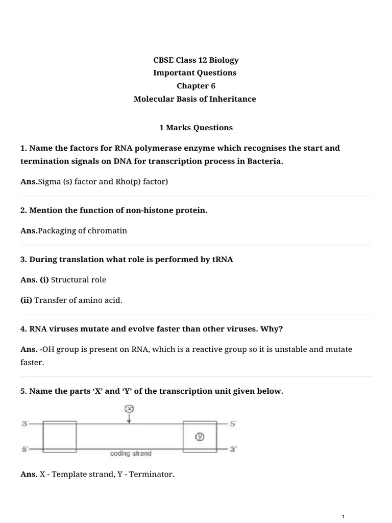 Molecular Basis of Inheritance | PDF | Operon | Translation (Biology)