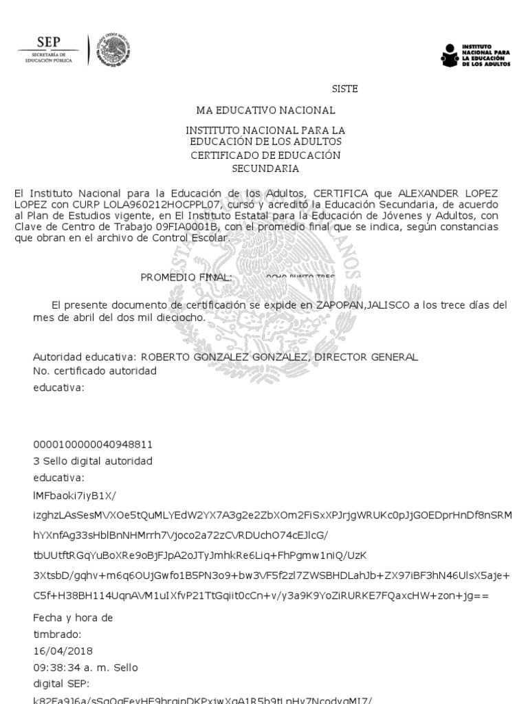 519173229-Plantilla-Editable-Secundaria | PDF