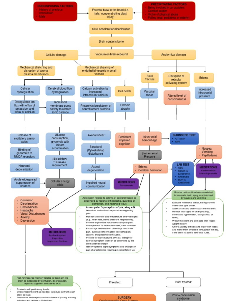 Cerebral Concussion - Pathophy | PDF | Pain | Concussion