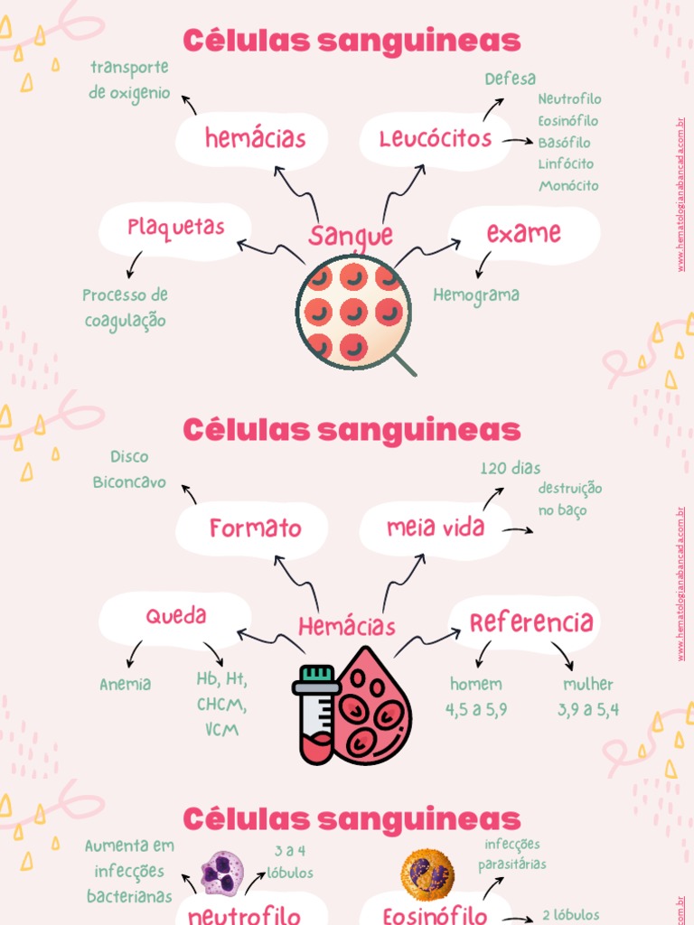 celulas-sanguineas-resumo- | PDF | Glóbulo branco | Sangue