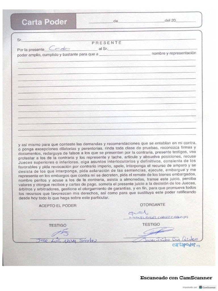 Carta Poder CON TESTIGOS | PDF