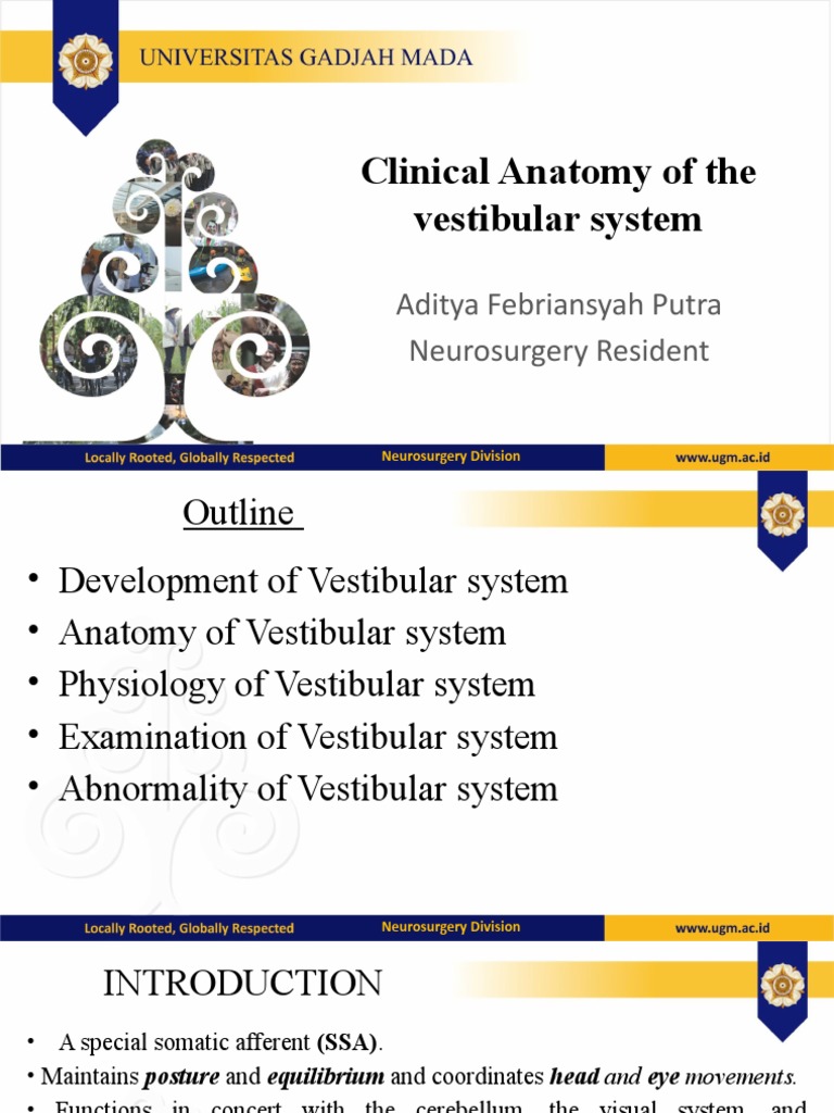 Clinical Anatomy of The Vestibular System | PDF | Vestibular System ...