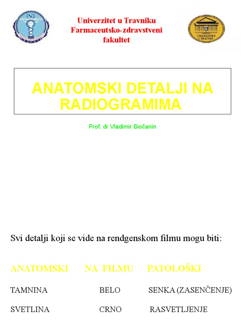 Anatomski Detalji RTG | PDF