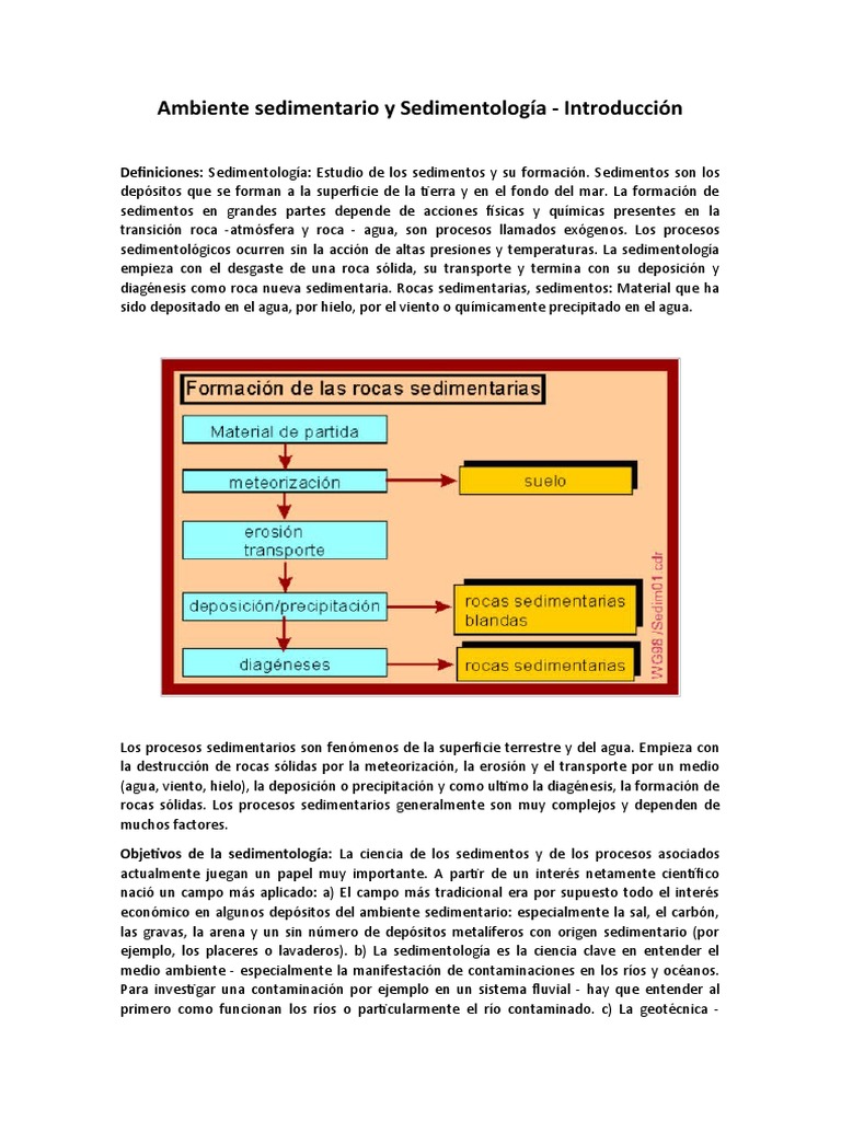 TEMA 1 Ambiente Sedimentario y Sedimentología | PDF | Roca (geología ...
