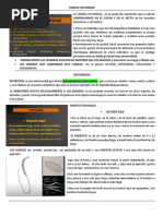 Reflejo de Flehmen en Animales | PDF | Biología