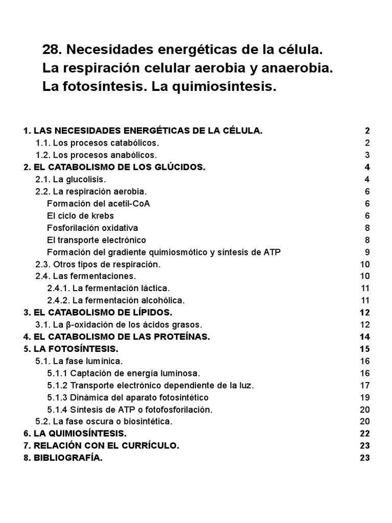 Necesidades Energéticas de La Célula. La Respiración Celular Aerobia y ...