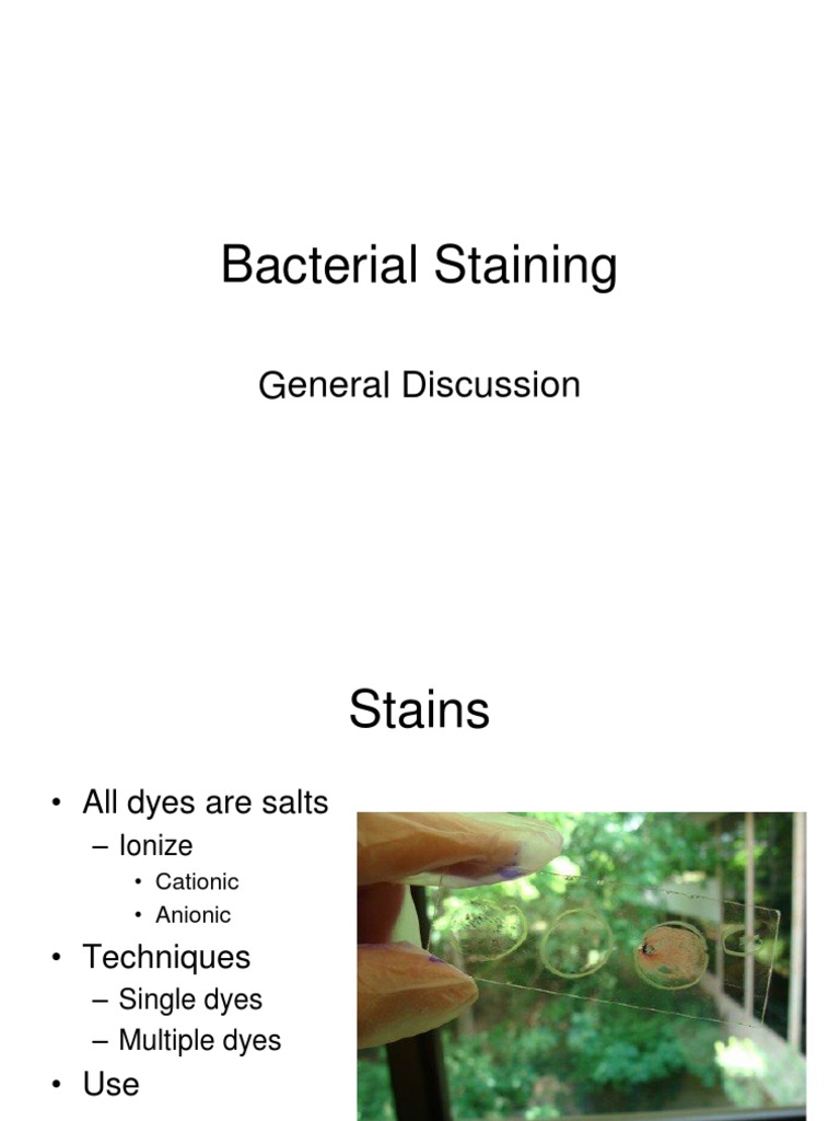 Bacterial Staining | PDF