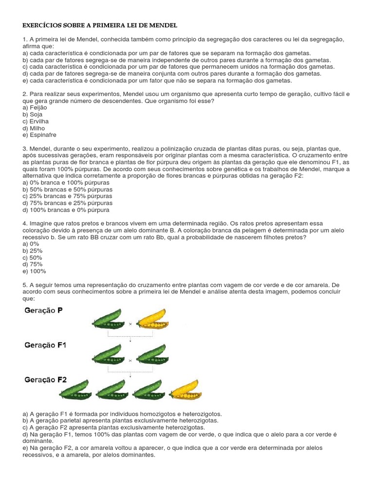Exercícios Sobre A Primeira Lei de Mendel | PDF | Dominância (genética) | Genótipo