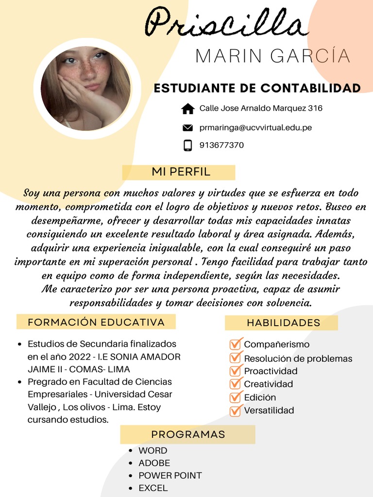 Curriculum Academico Original Marco Marketing | PDF