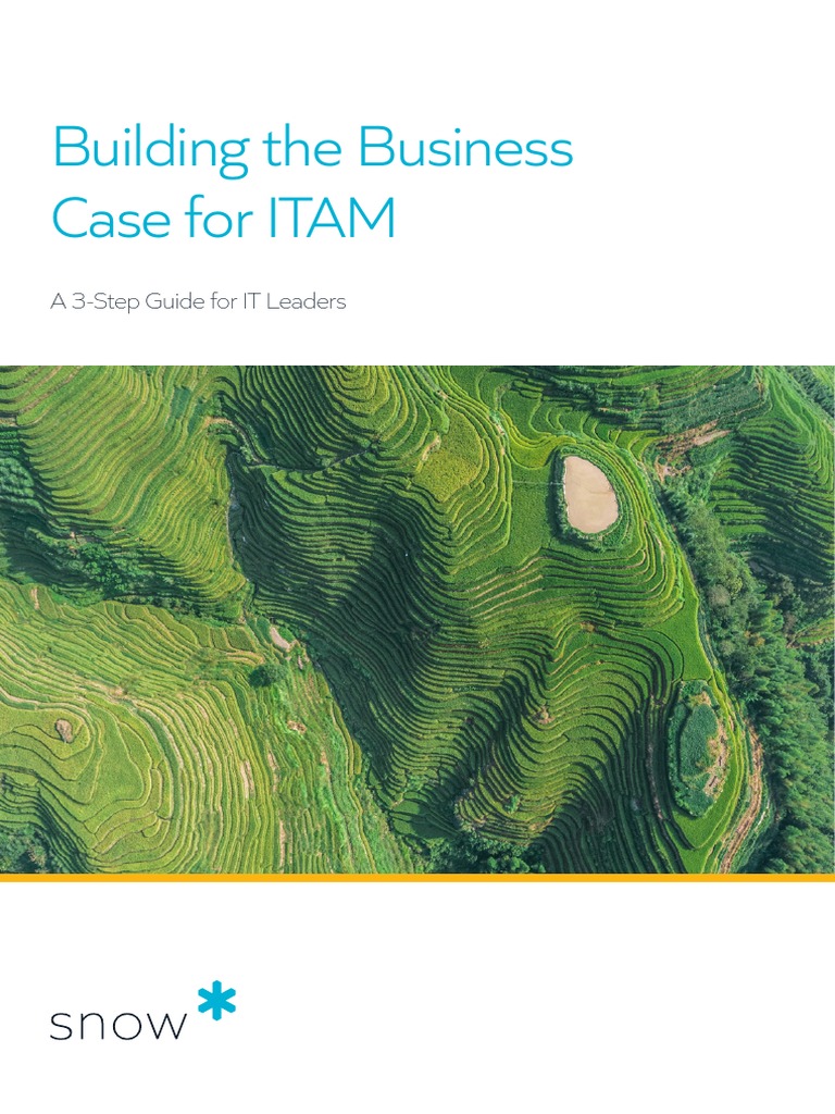 Building The Business Case For ITAM: A 3-Step Guide For IT Leaders ...